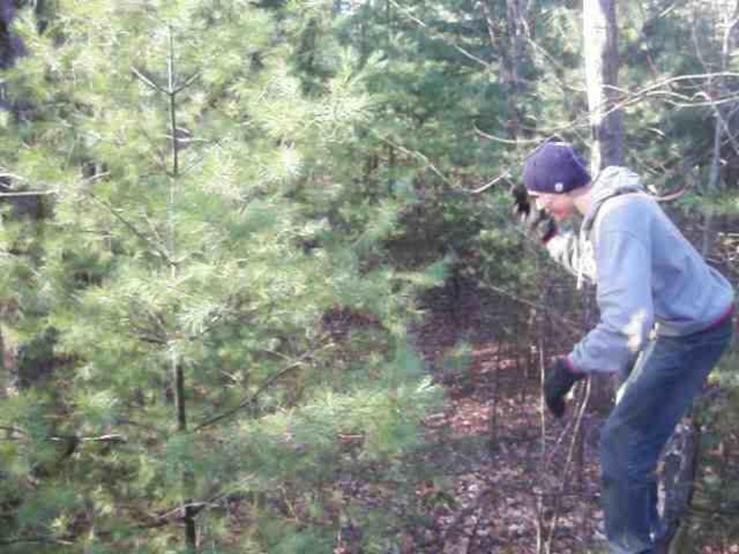 Tree Branch Snaps and Hits Guy in Face | Jukin Media Inc