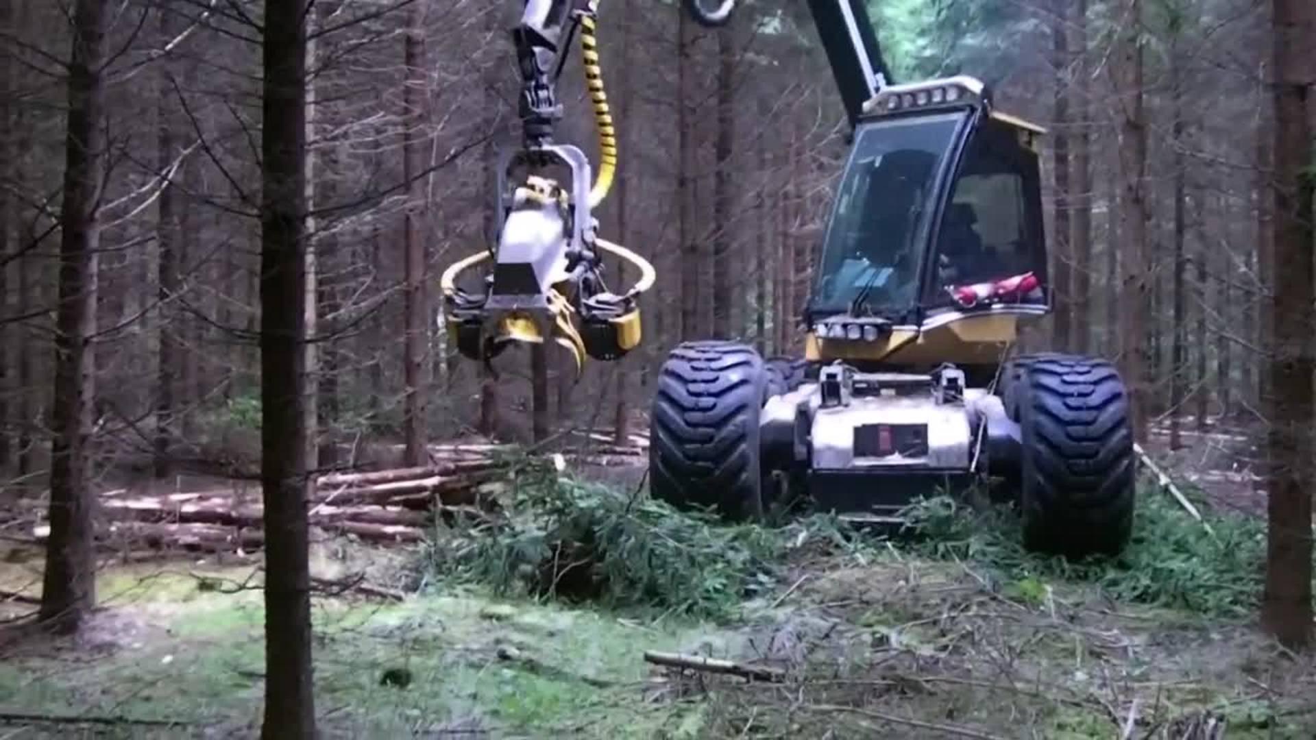 Crane Demonstrates Tree Cutting Head | Jukin Licensing