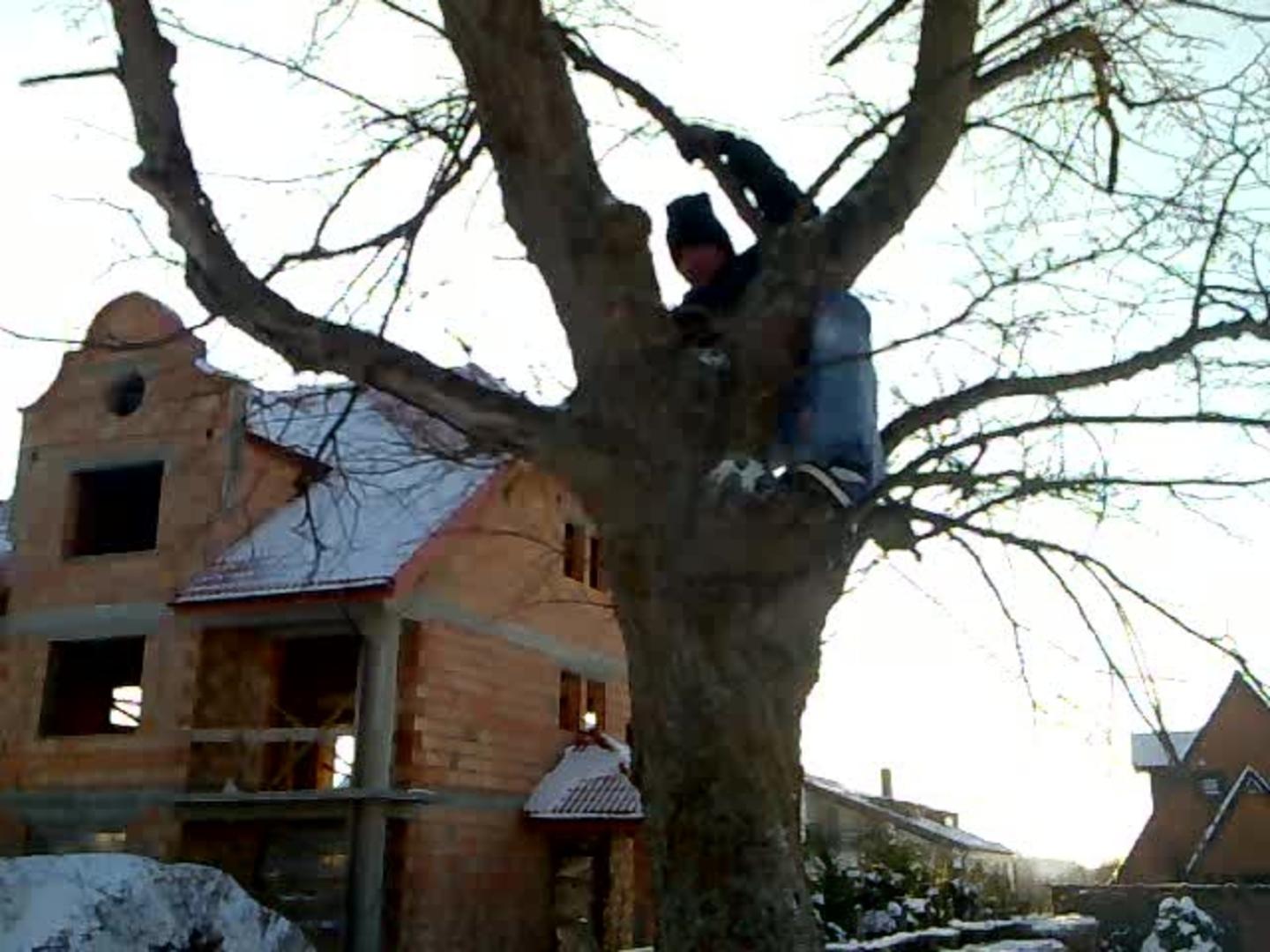 Tree Climber Breaks Branch and Falls | Jukin Media Inc