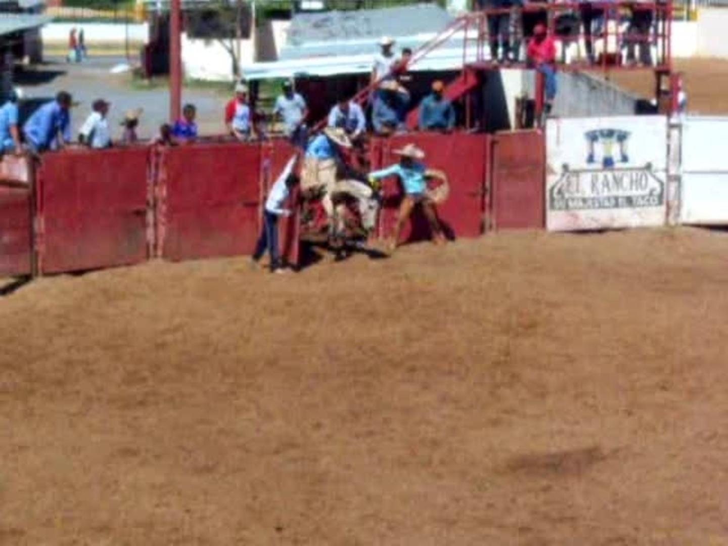 Horse Kicks Guy in Face With Both Hind Legs | Jukin Media Inc