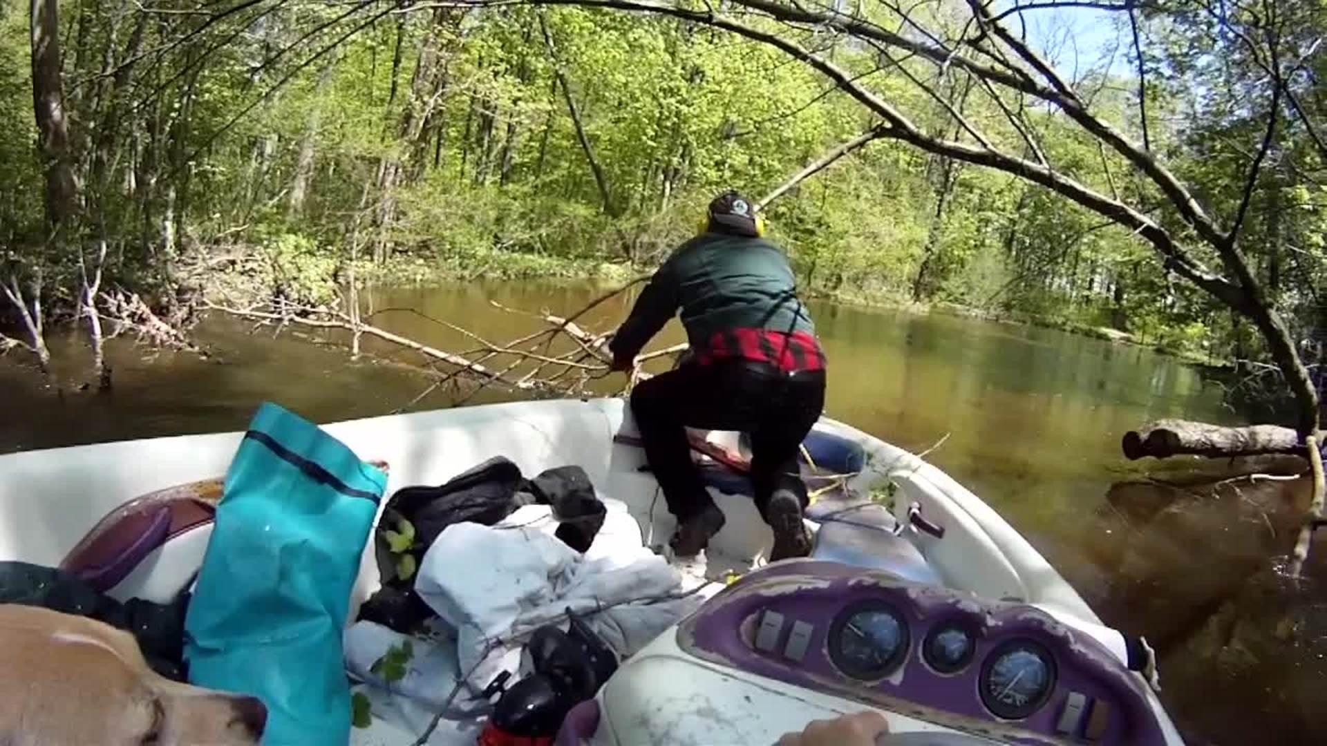 Tree Trimmer Falls Out of Tree | Jukin Media Inc