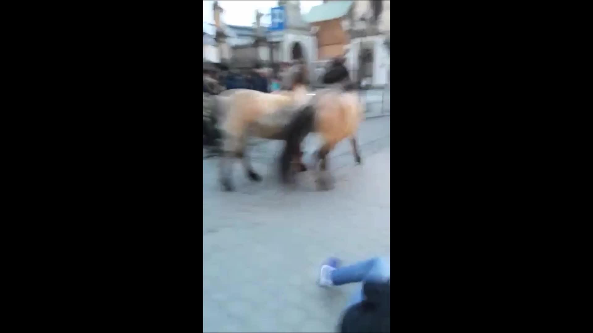 Horse Kicks Guy in Face With Both Hind Legs | Jukin Media Inc