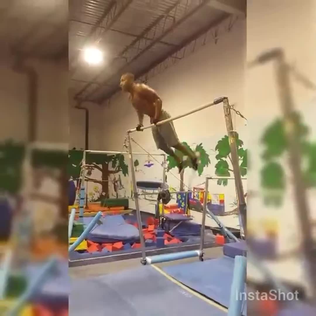 Guy Loses Pants During Gymnastics Routine | Jukin Media Inc