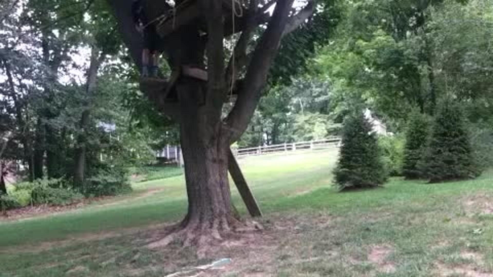 Guy Jumps Off Tree and Slams to the Ground | Jukin Licensing