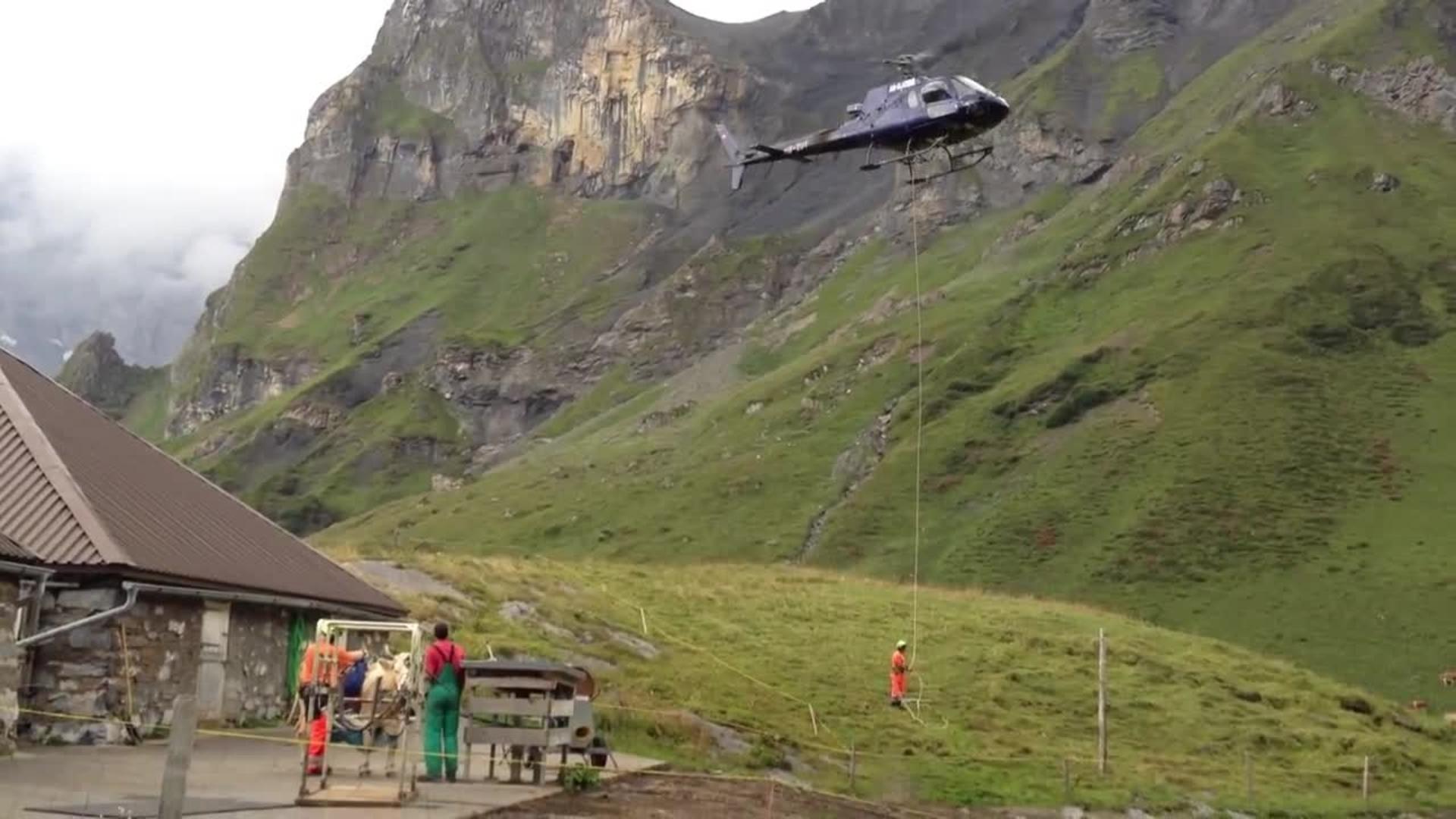Cow Gets Airlifted by Helicopter out of Swiss Alps | Jukin Licensing