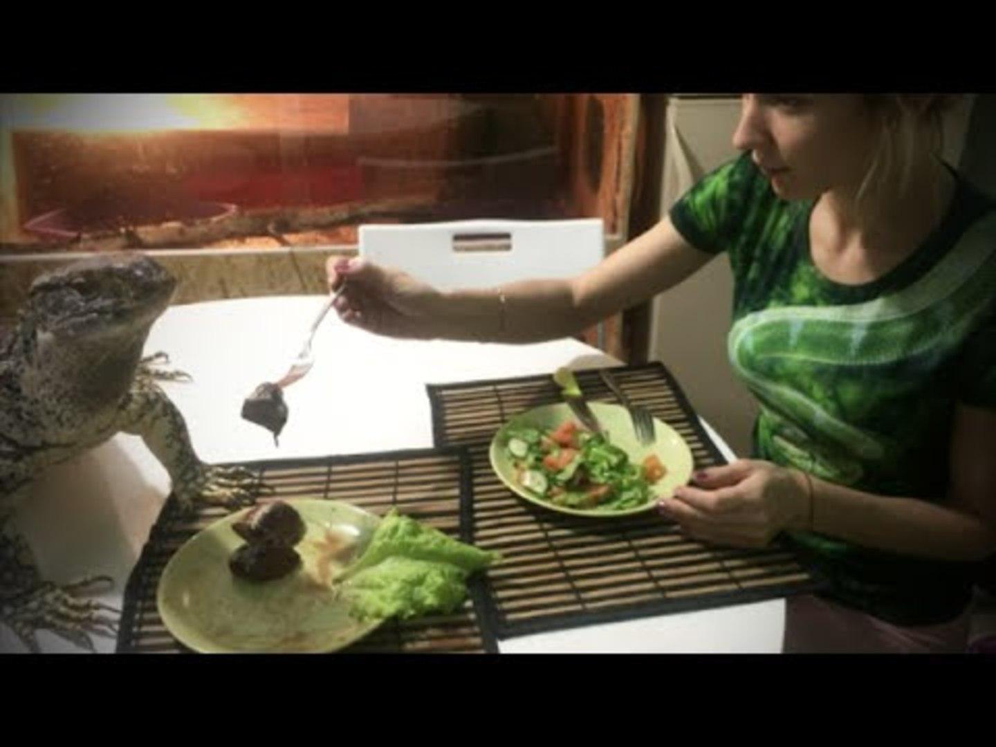 Woman, Giant Lizard, and Cat Eat Dinner Together | Jukin Licensing