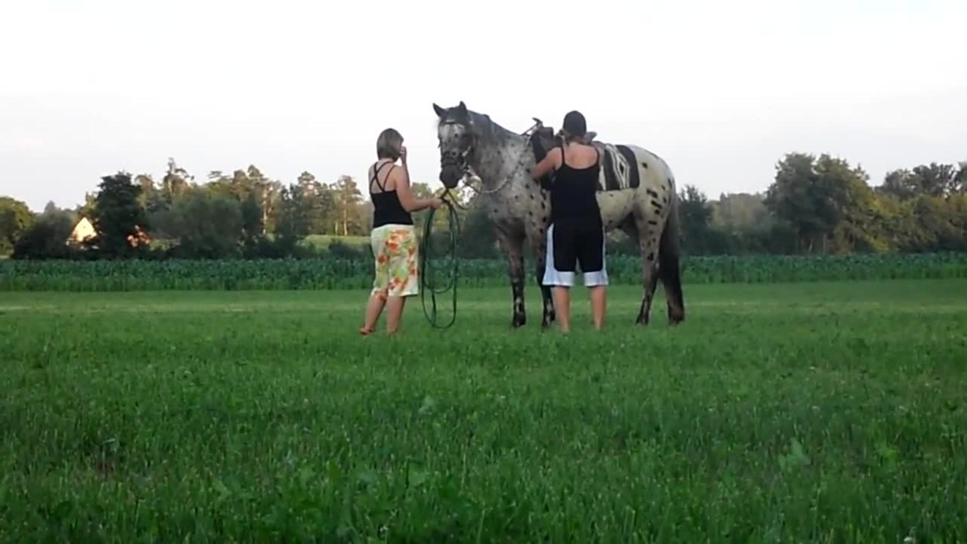 Girl Thrown off Front of Horse | Jukin Media Inc