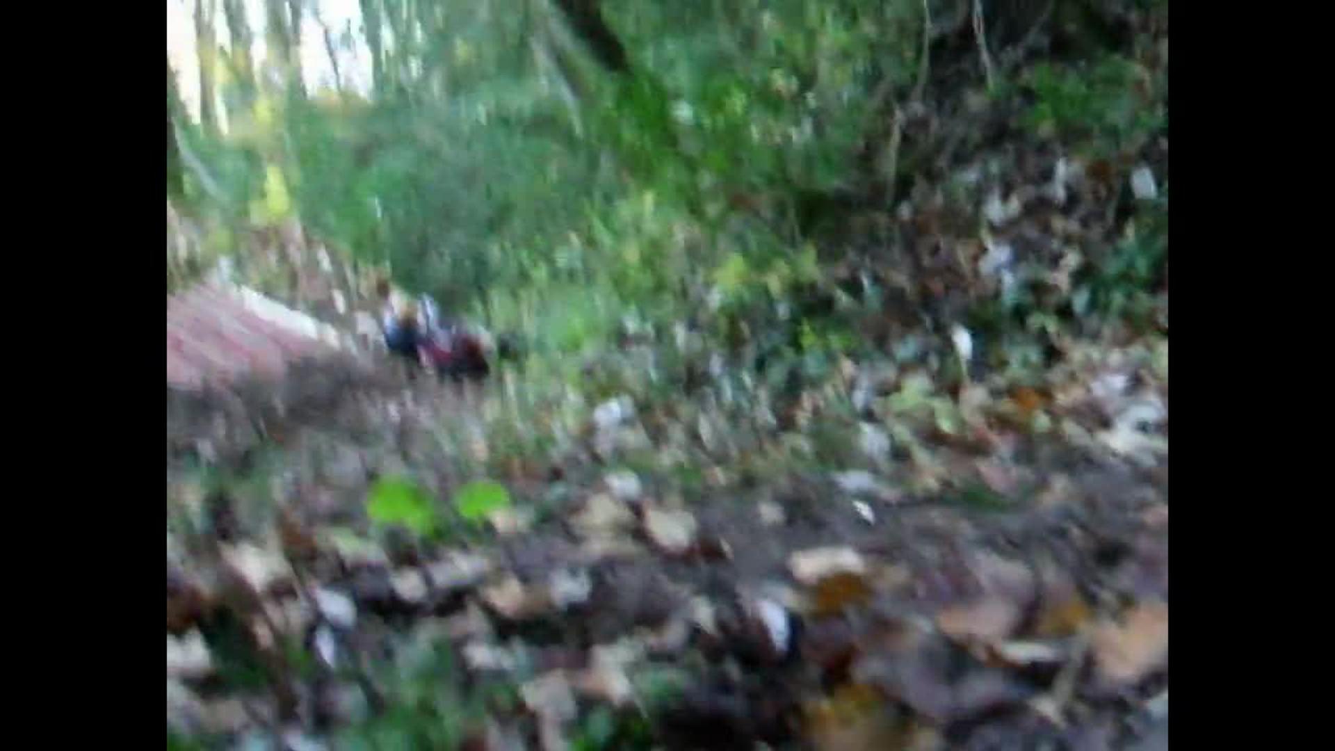 Mountain Bike Faceplant into Tree | Jukin Licensing