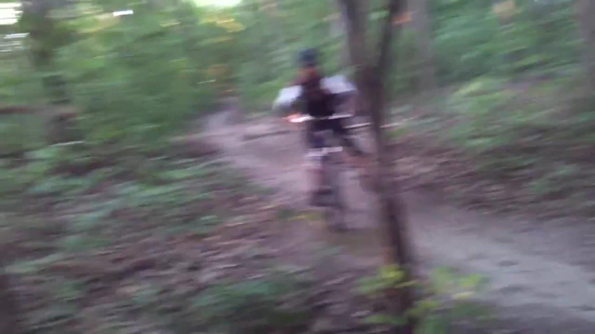 Mountain Bike Jumper Hits Tree | Jukin Licensing
