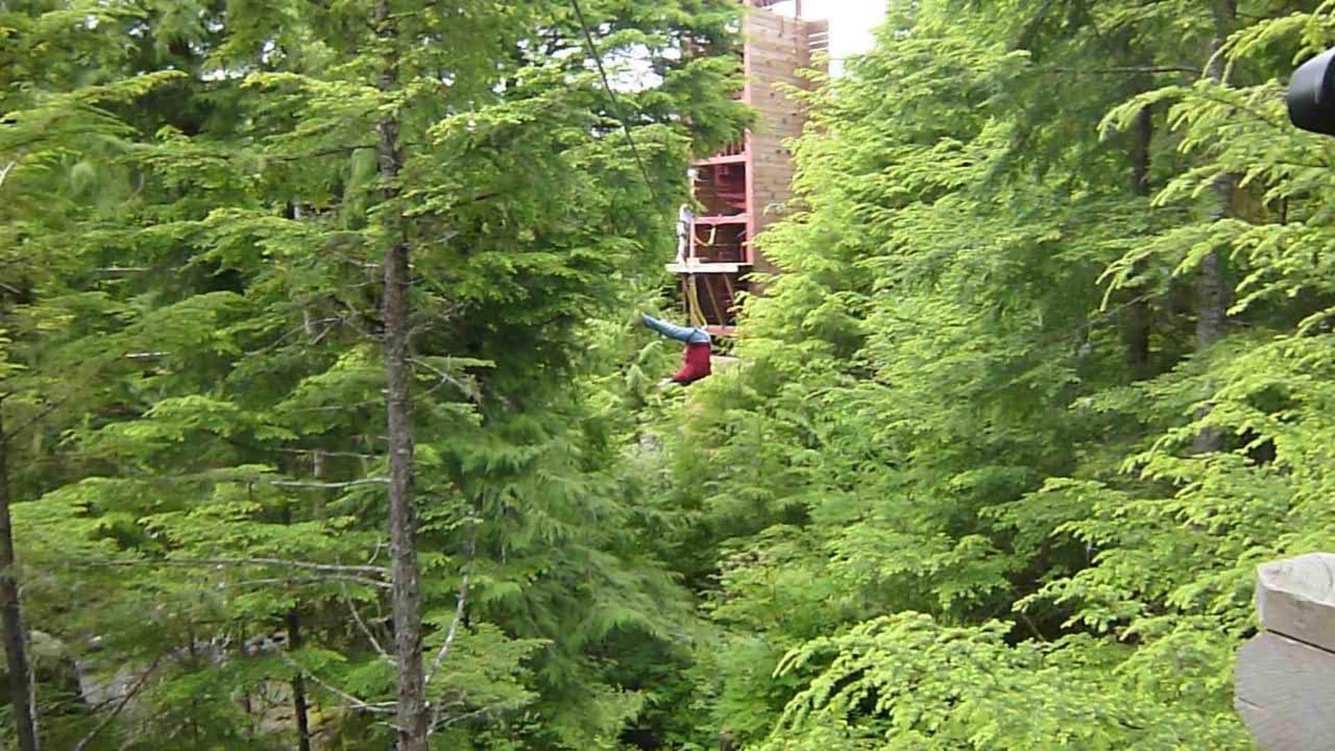 Dad Rides His First Zip-Line | Jukin Licensing