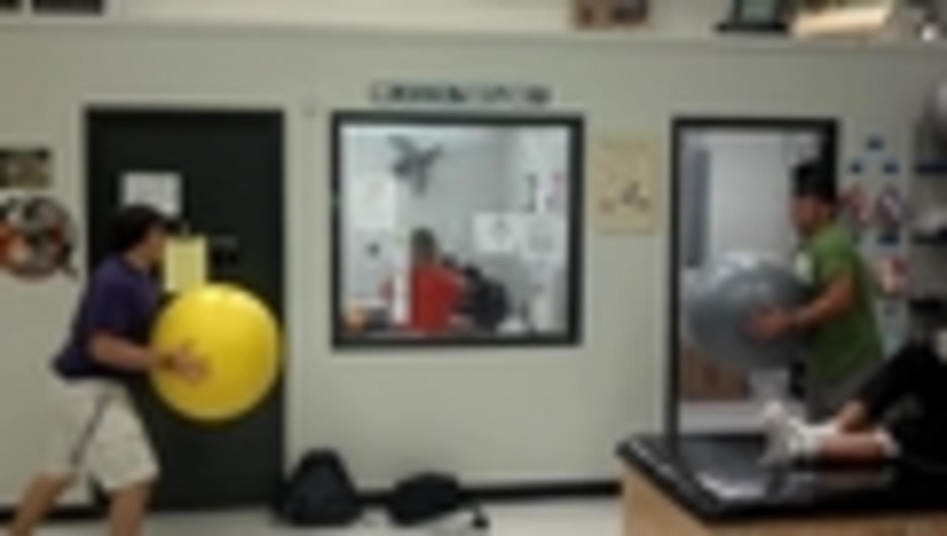 Exercise Ball Collision Fail | Jukin Licensing