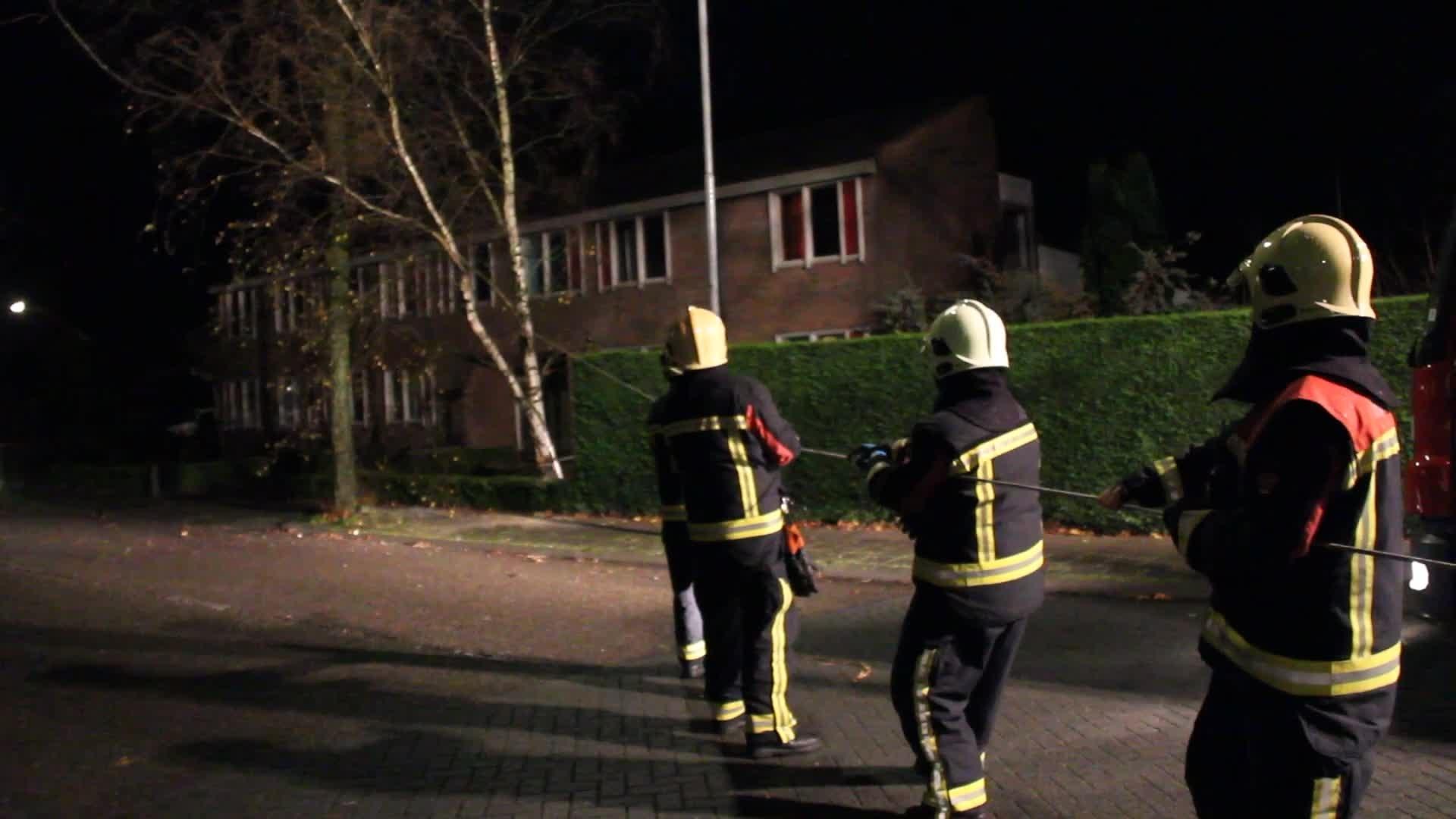 Fire Fighter Dog Helps Pull Rope | Jukin Licensing