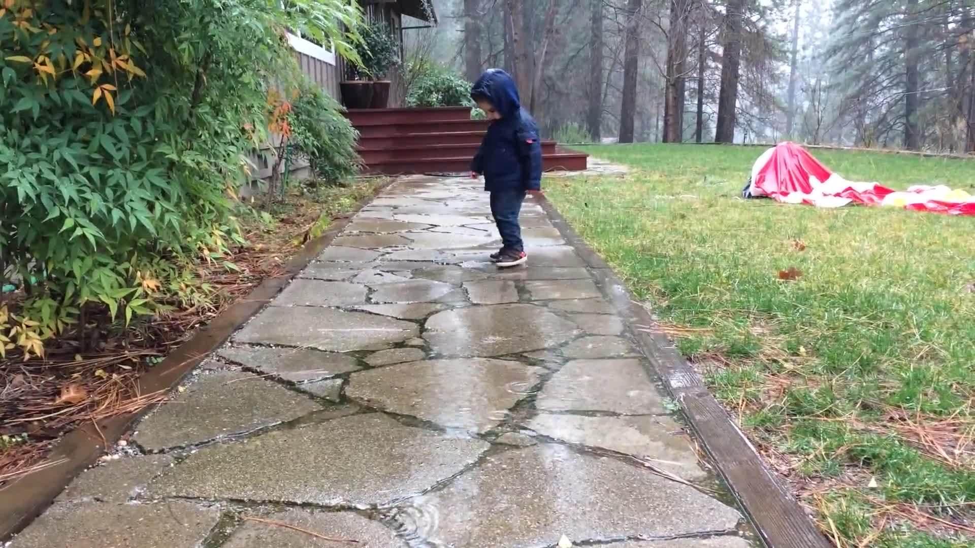 Toddler Keeps Falling in Puddle | Jukin Licensing