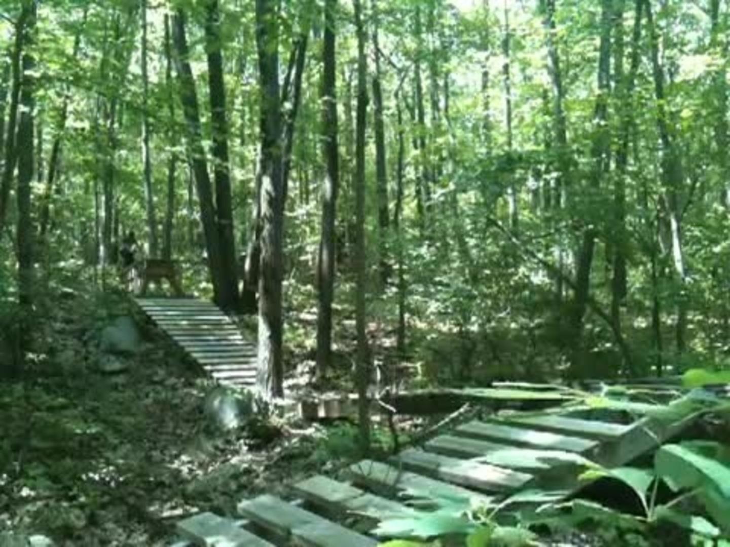 Guy Falls off Bike on Wood Path in Forest | Jukin Licensing