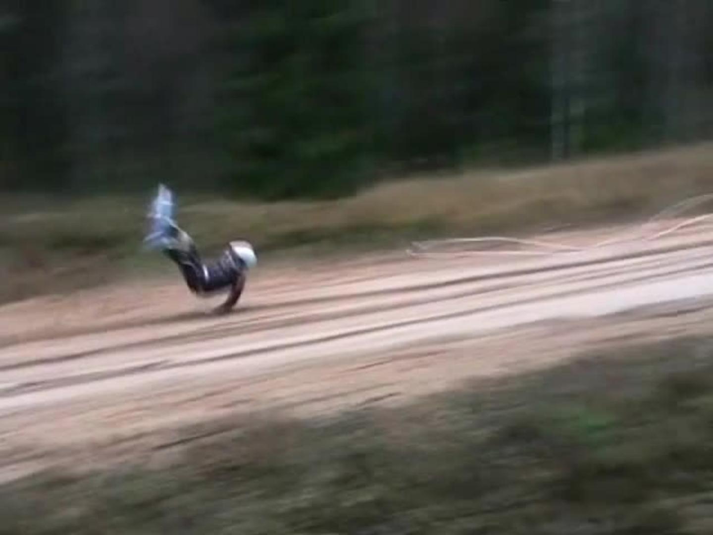 Snowboarding in Dirt Causes Huge Wipeout | Jukin Licensing