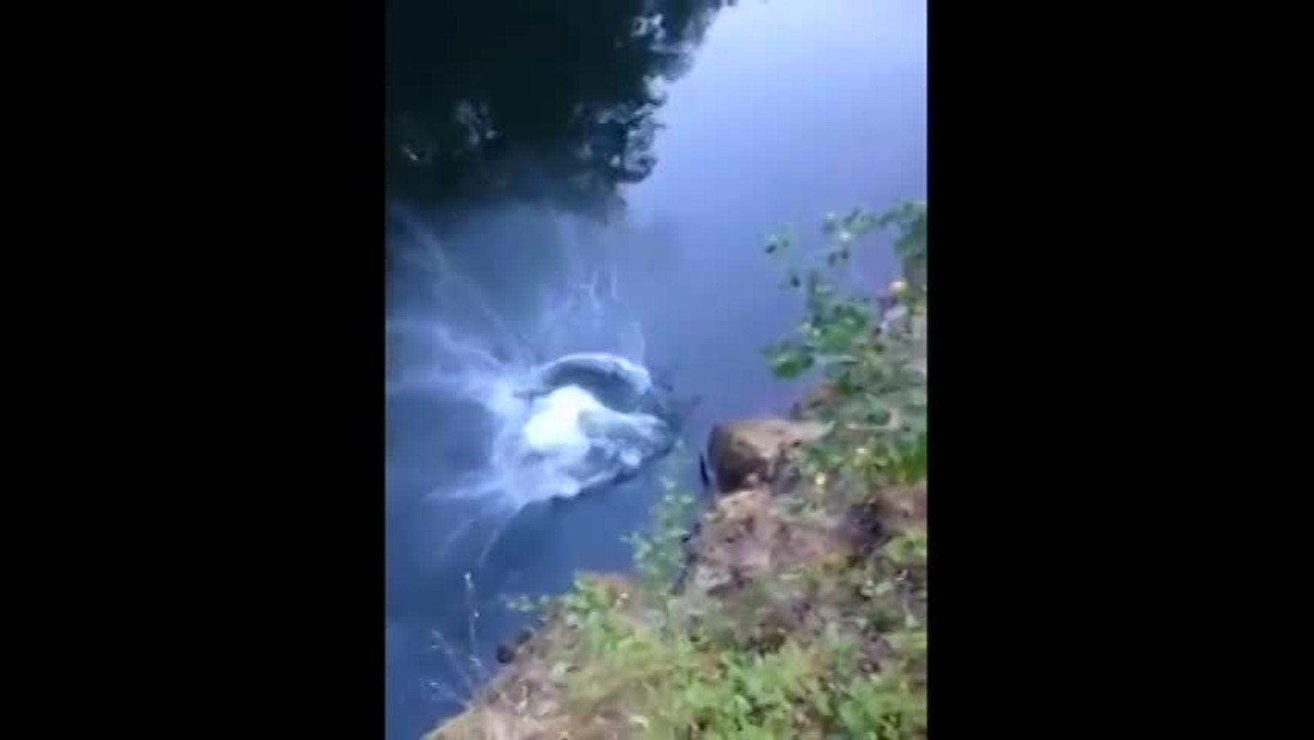 Guy Falls Off Rope Swing | Jukin Licensing