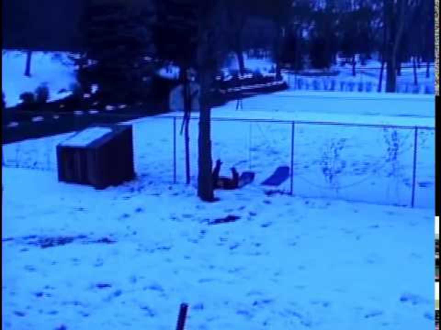 Kid on Sled Gets Stuck under Fence | Jukin Media Inc