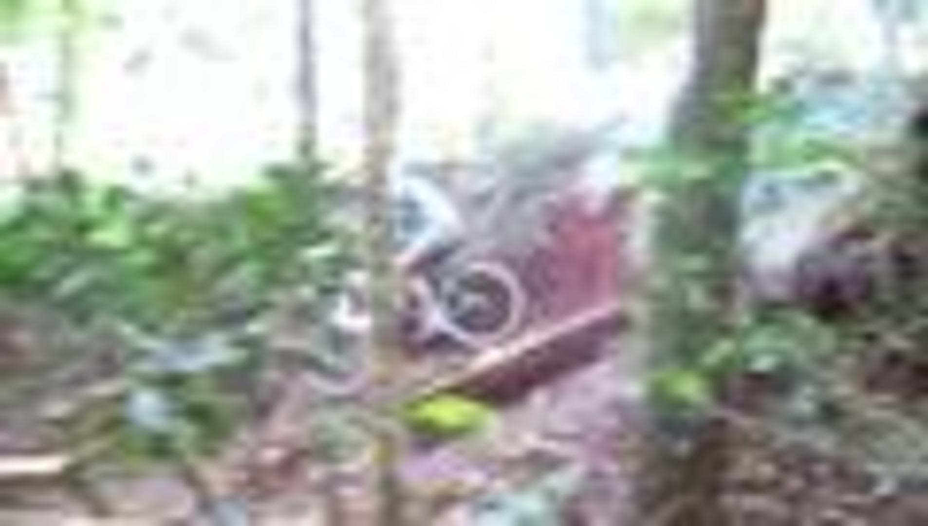 Mountain Bike Falls Off Bridge Path in Forest | Jukin Licensing