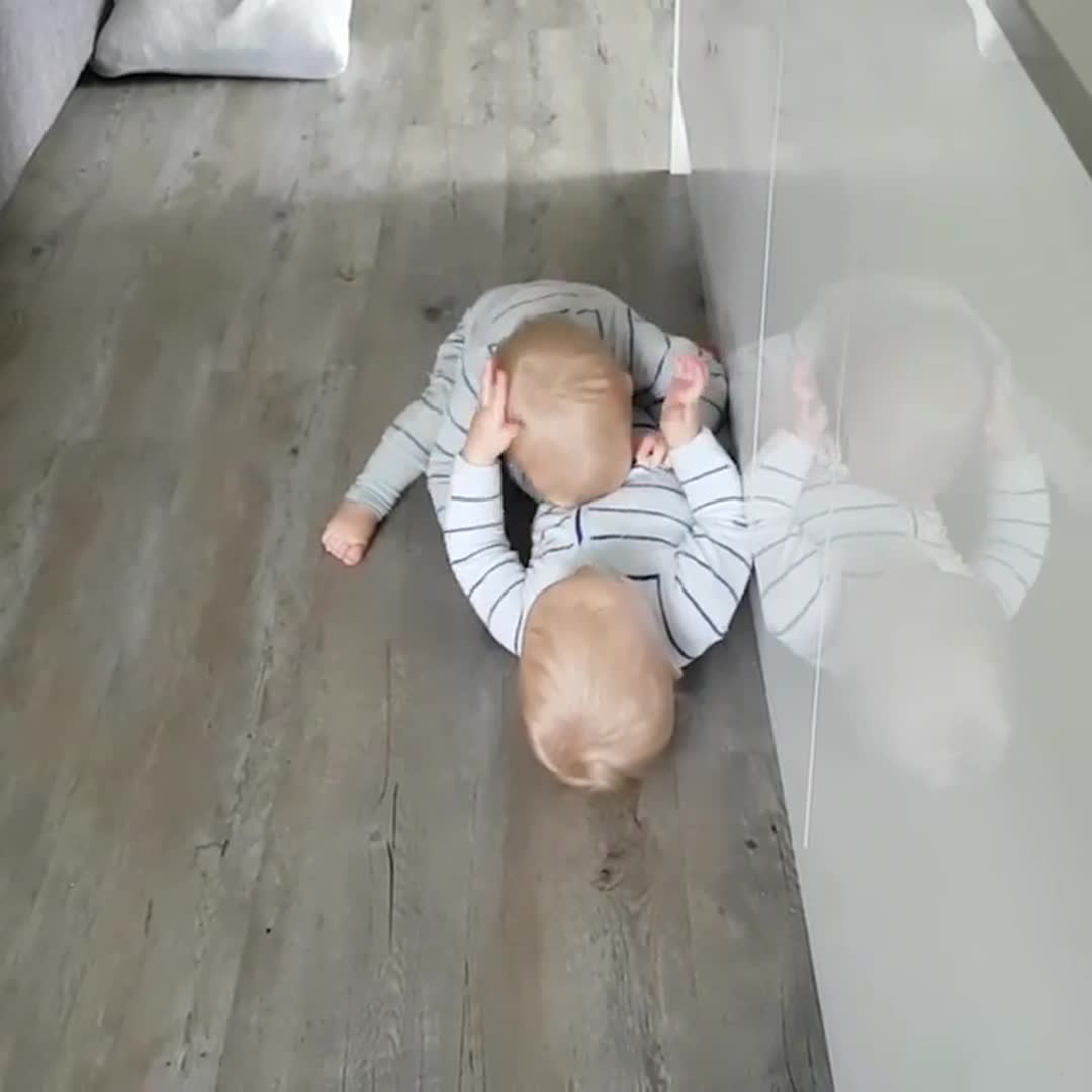 Baby Twins Fight | Jukin Licensing