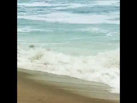 Wave Takes out Girls in Bikinis | Jukin Media Inc