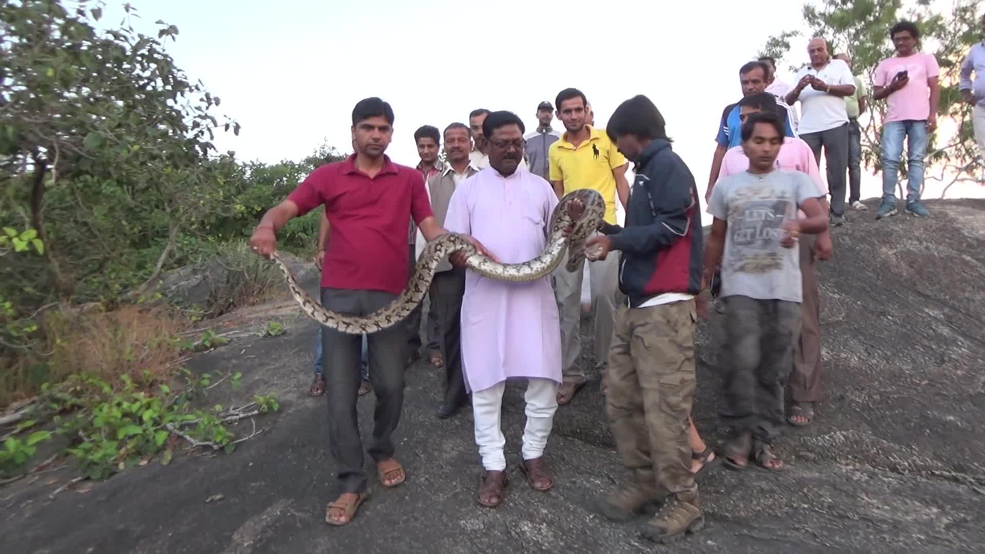 Python Attacks Man Trying to Take a Selfie | Jukin Licensing
