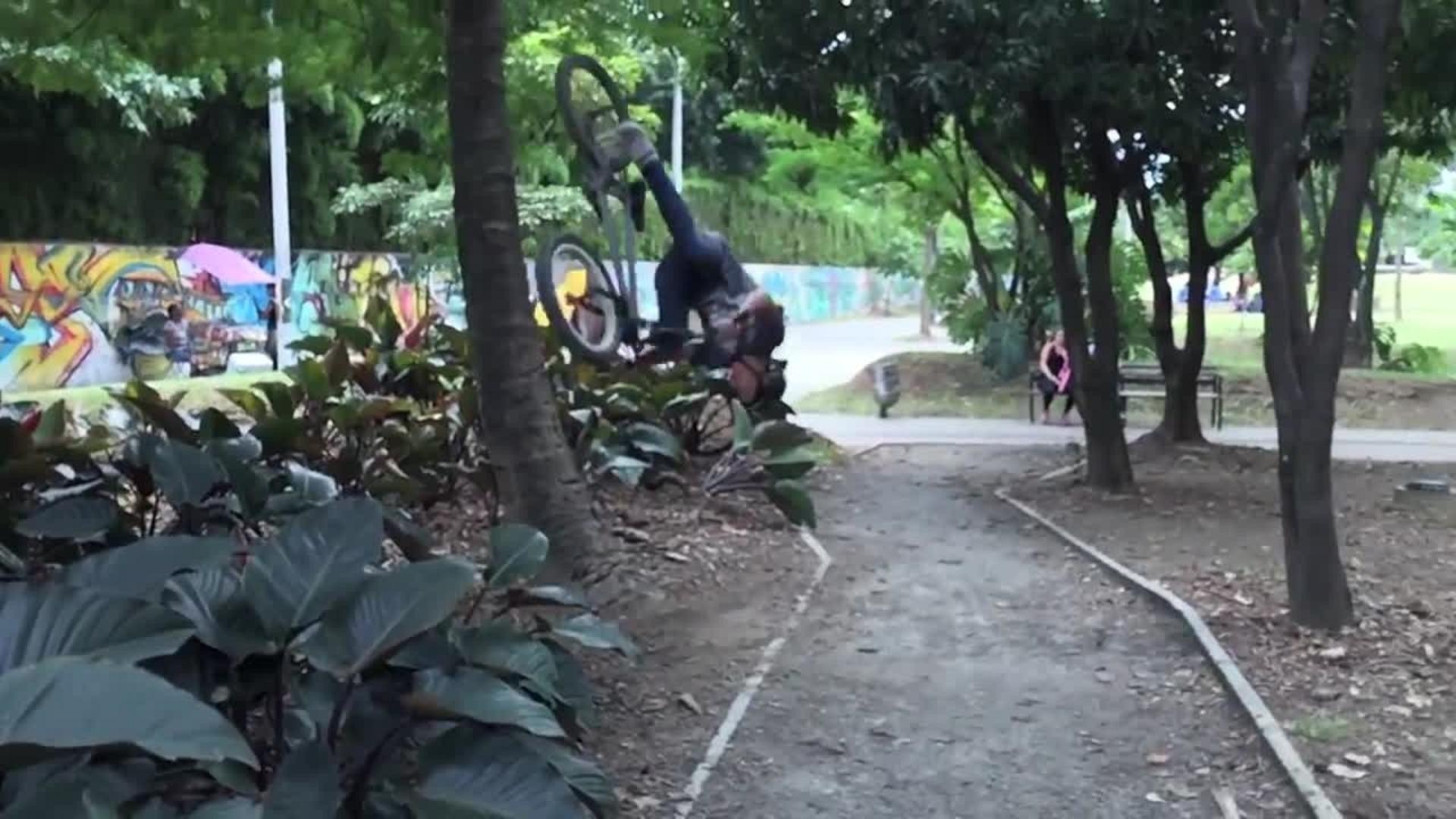 BMX Ride on Palm Tree Fail | Jukin Licensing