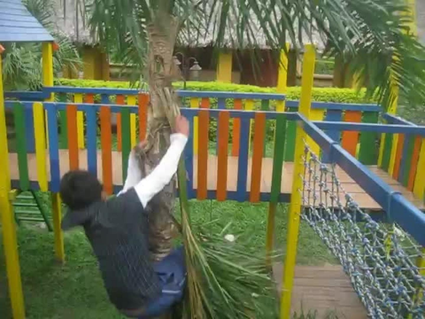 Playground Parkour Jump to Palm Tree | Jukin Licensing