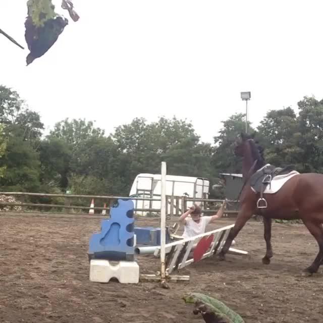 Equestrian Rider Falls Off Horse | Jukin Media Inc