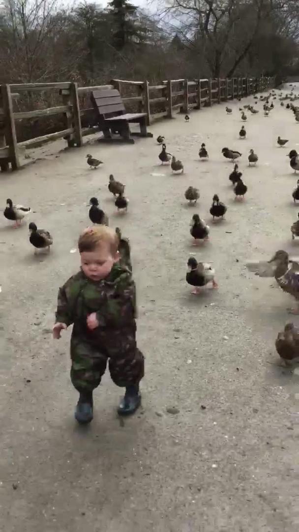 Toddler Leads Duck Army | Jukin Licensing