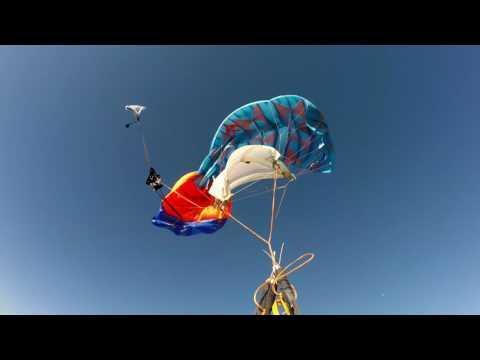Paraglider vs Eagle - Bird gets stuck in parachute | Jukin Media Inc