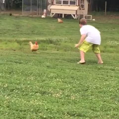 Rooster Attacks Man | Jukin Media Inc