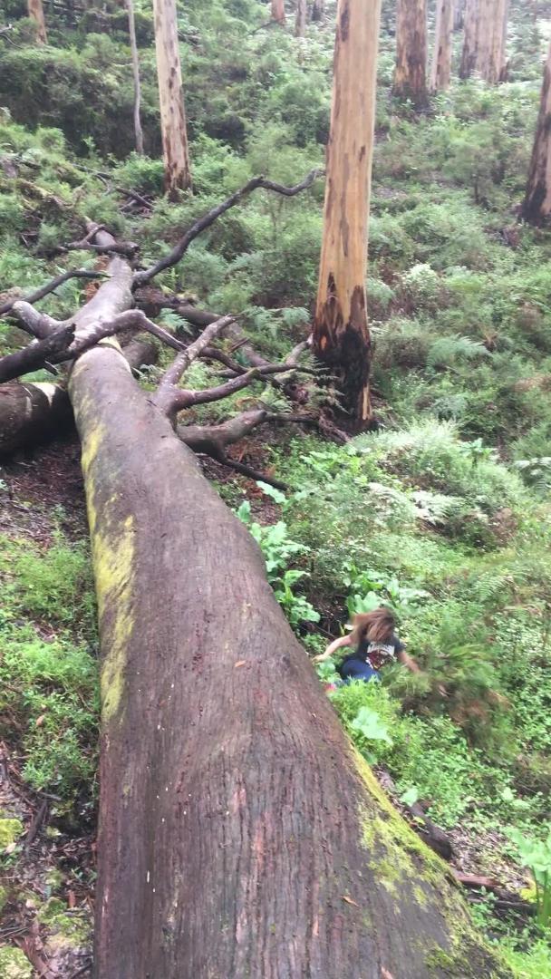 Girl Slips Off Giant Log | Jukin Licensing