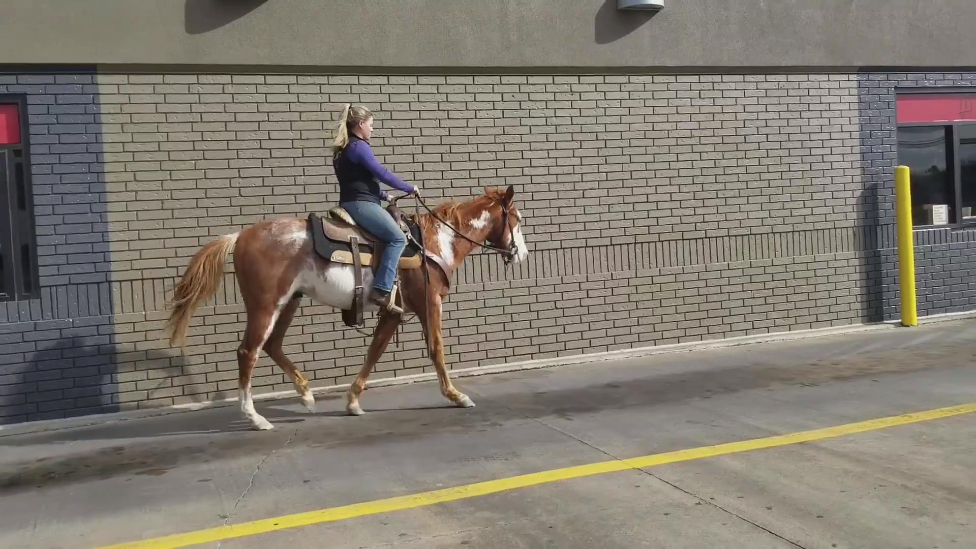 Girl Rides Horse Through Fast Food Drive-Thru | Jukin Licensing