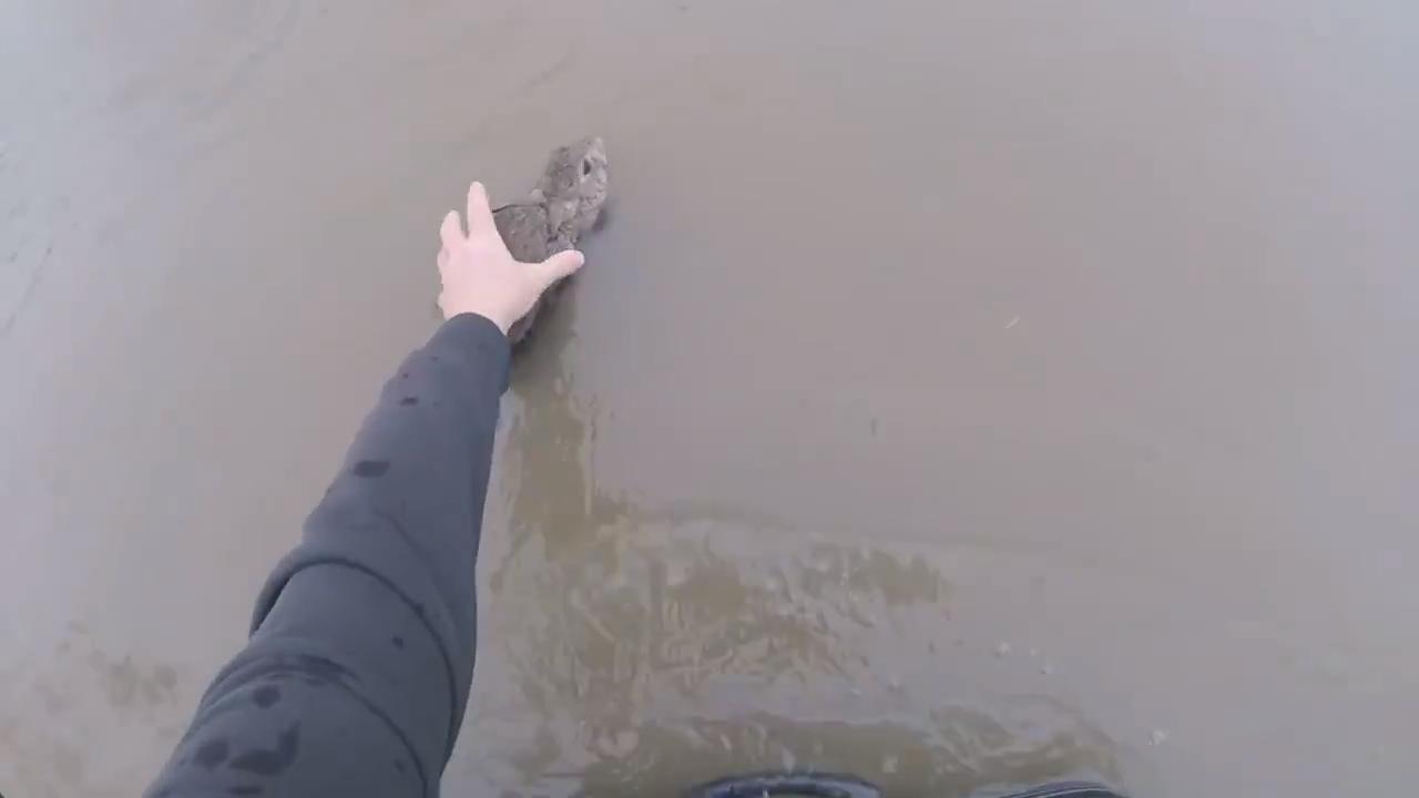 Guy Rescues Rabbits in Flood | Jukin Licensing