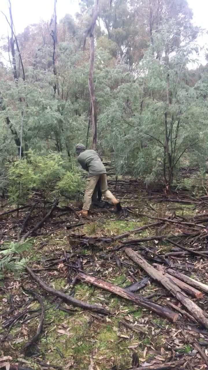 Tree Branch Snaps and Hits Guy in Face | Jukin Media Inc
