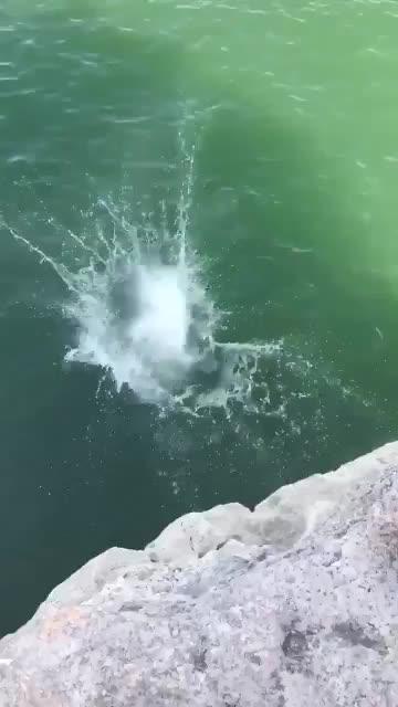 Girl in Bikini Fails at Backflip | Jukin Media Inc