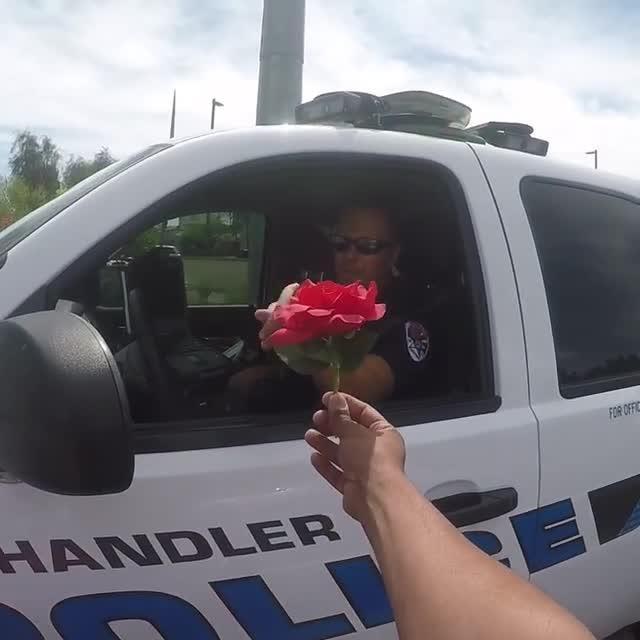 Motorcyclist Pulls Over Cop Car and Gives Policeman Rose | Jukin Licensing