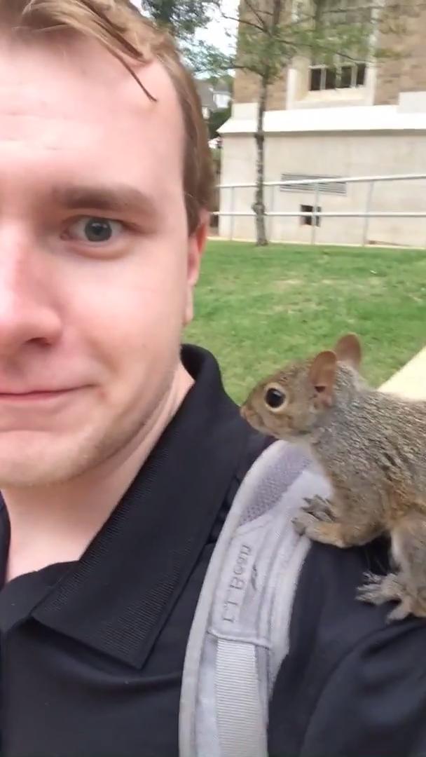 Squirrel Makes Friends With College Student | Jukin Licensing