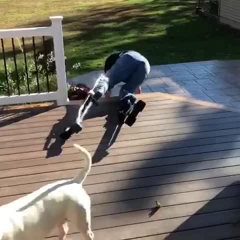 Man Crawls on Ground Failing to Walk in Stilts | Jukin Licensing