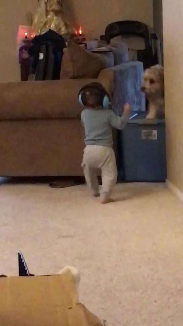 Big Dog Knocks Down Little Baby | Jukin Media Inc