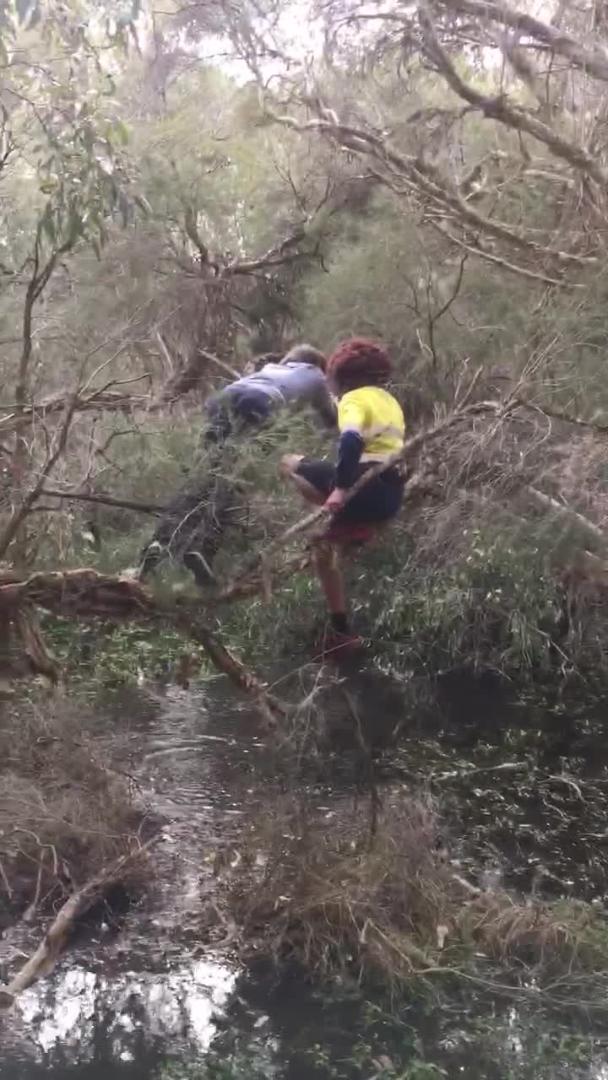Girls Walk Across Branch and Fall Off | Jukin Media Inc