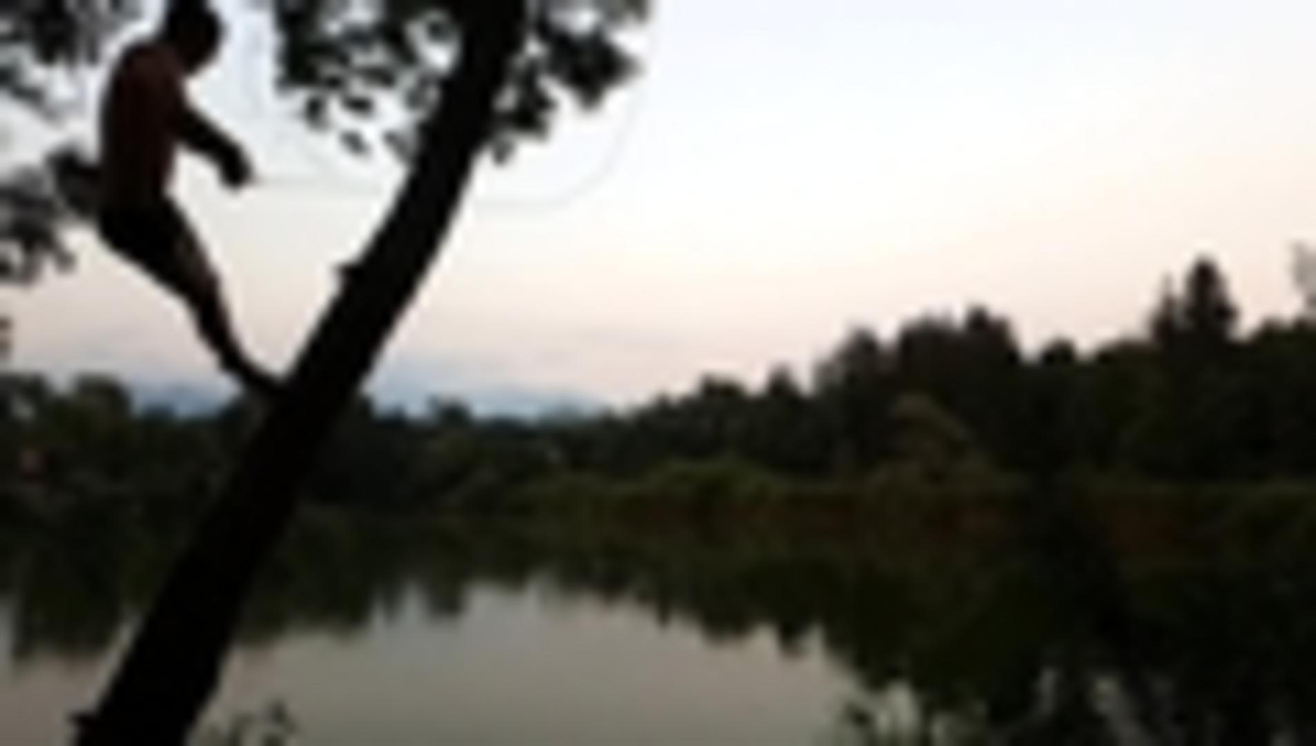 Man Falls off Tree Trying to Swing into Water | Jukin Licensing