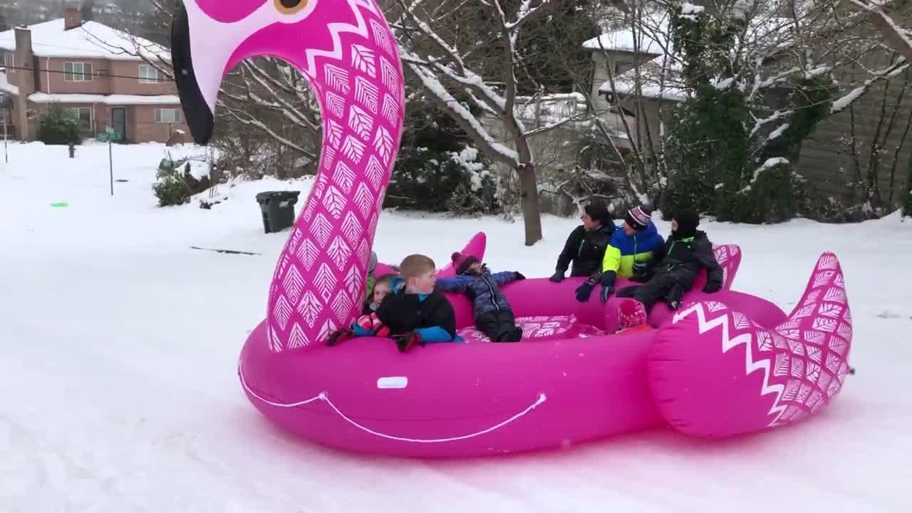 Kids Sled Down Snowy Hill in Inflatable Flamingo Float | Jukin Licensing