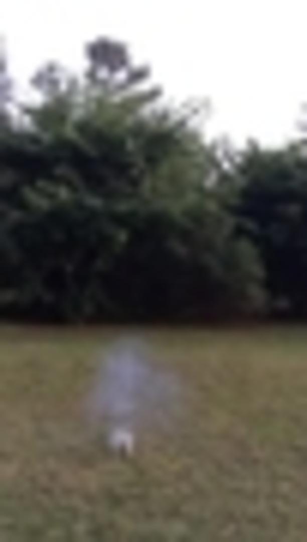 Fireworks Launch at Cameraman | Jukin Licensing