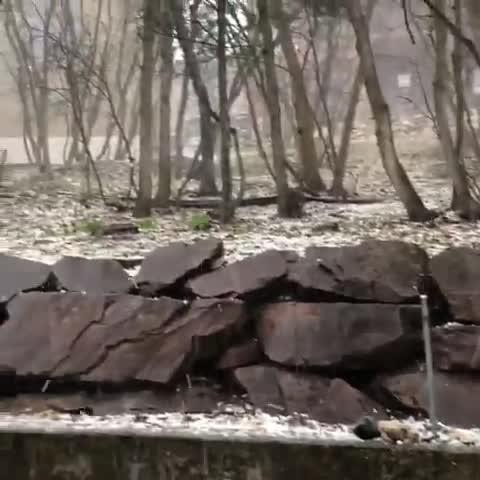 Hailstones Pelt Down Backyard | Jukin Licensing