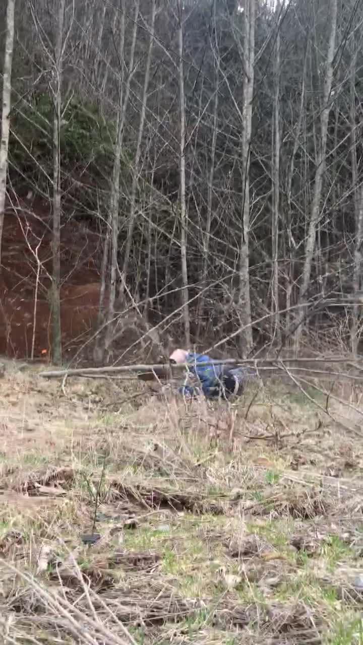 Guy Breaks Tree Branch And Falls After Trying To Hang Onto It | Jukin ...