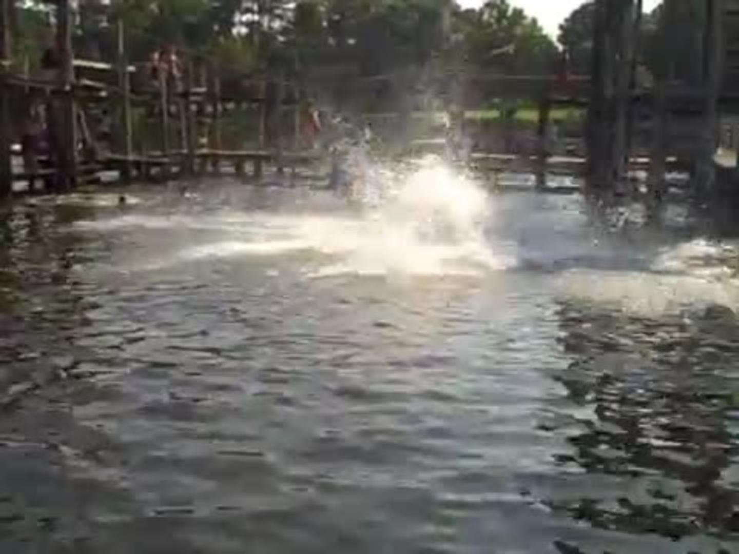 Six People Try to Ride Zip-Line over Pool | Jukin Licensing