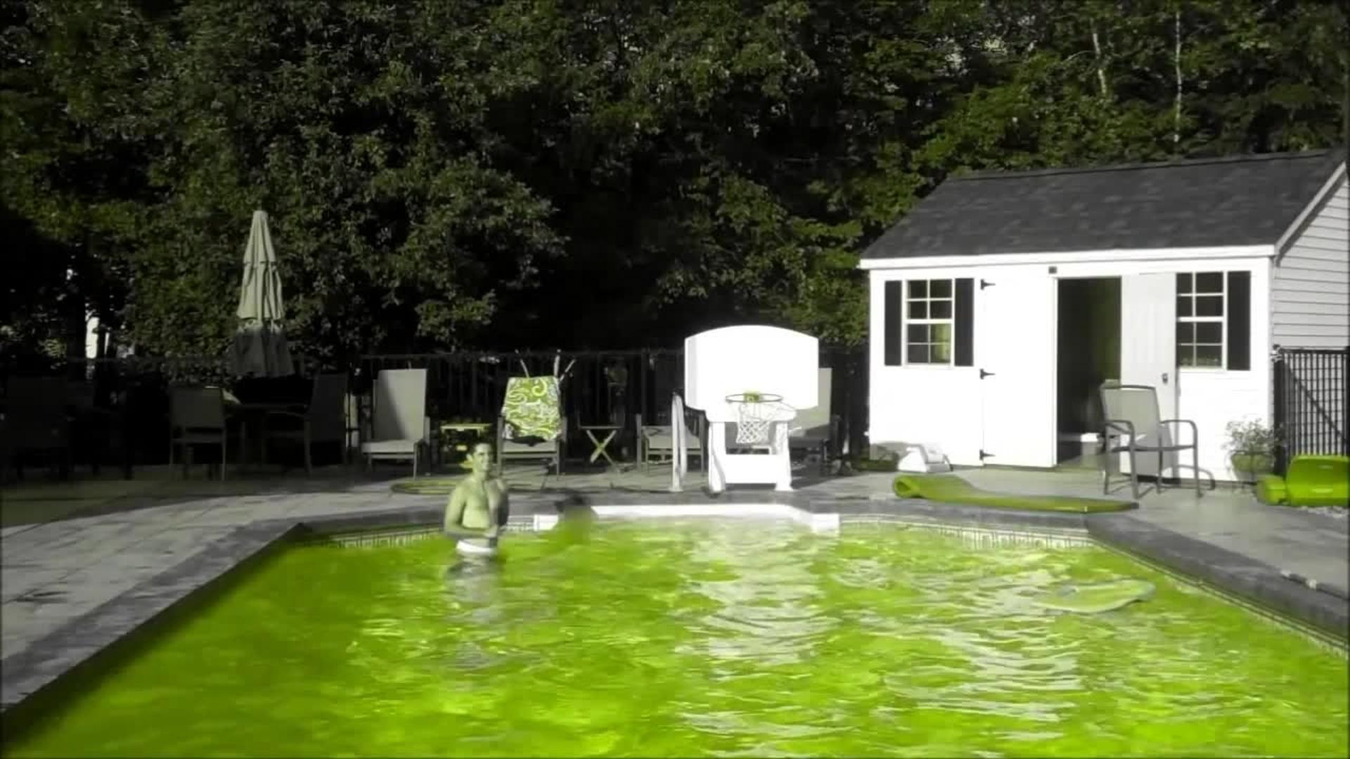 Pool Dunks Compilation | Jukin Licensing