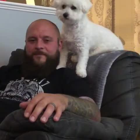 Dog Lovingly Licks Man's Head and Gives Him Kisses | Jukin Licensing