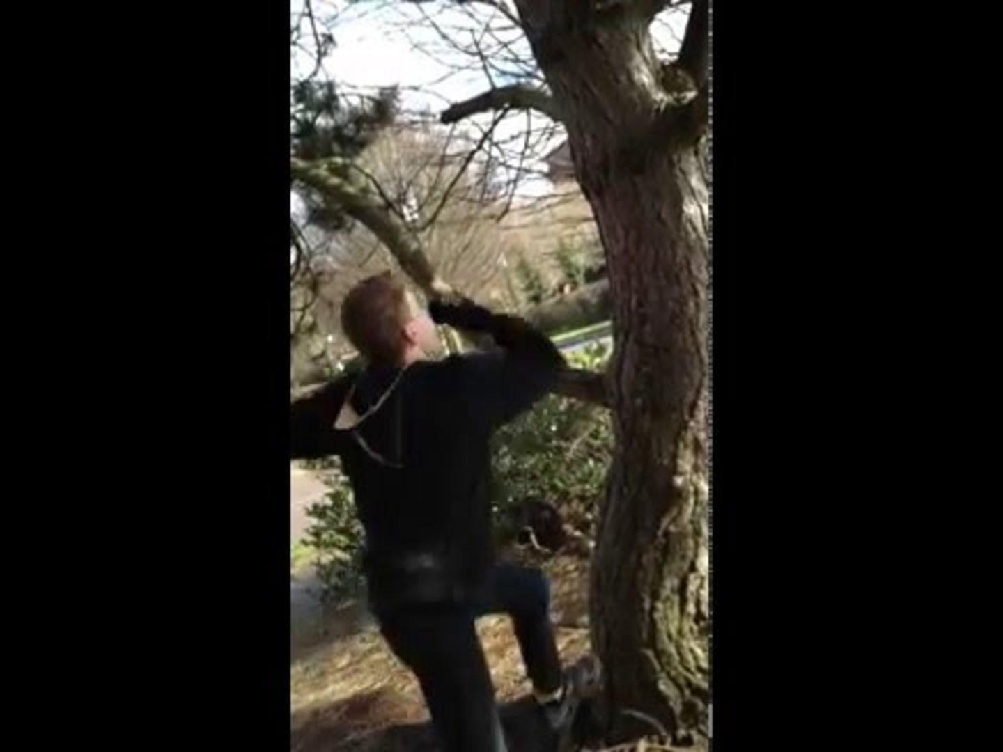 Tree Climber Falls when Branch Snaps | Jukin Licensing